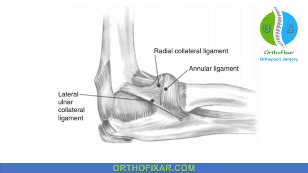 Chair Push-up Test Explained Easily | OrthoFixar